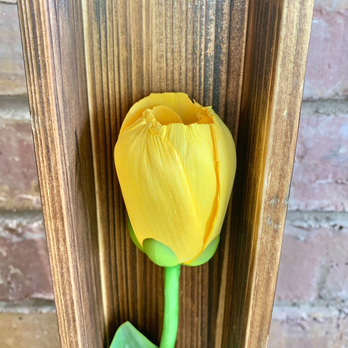 Tulip Shadow Boxes - Multiple Available – Blessed with Grace Designs
